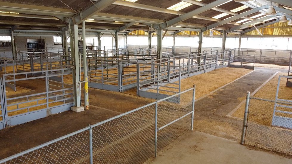 Livestock Facilities | Mississippi Fairgrounds