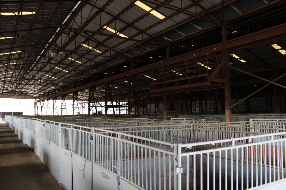 Kirk Fordice Equine Center | Mississippi Fairgrounds